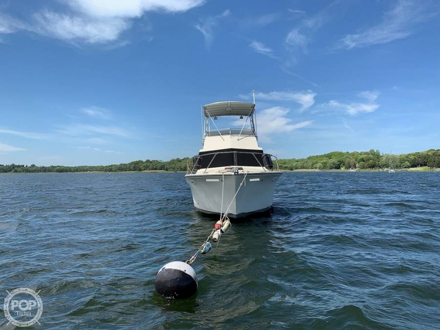 1979 Pacemaker 36 Power Boats, Sportfish/Convertible For Sale in ...